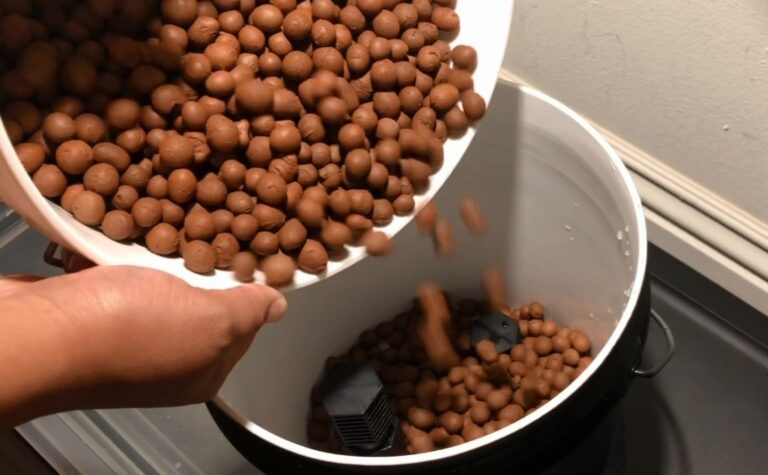 How to Use Clay Pebbles in Hydroponics - Tutorial ★ January 2021🔥