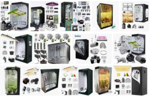 How to Control Humidity in a Grow Tent or Grow Room