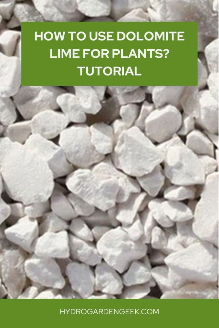 How To Use Dolomite Lime for Plants? - Tutorial 🔥ACTUAL