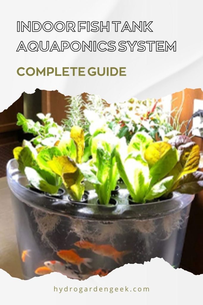 Transform Your Fish Tank into an Aquaponics System 🔥ACTUAL Ultimate Guide
