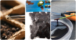 How to Use Rapid Rooters to Germinate Seeds: a Simple Guide