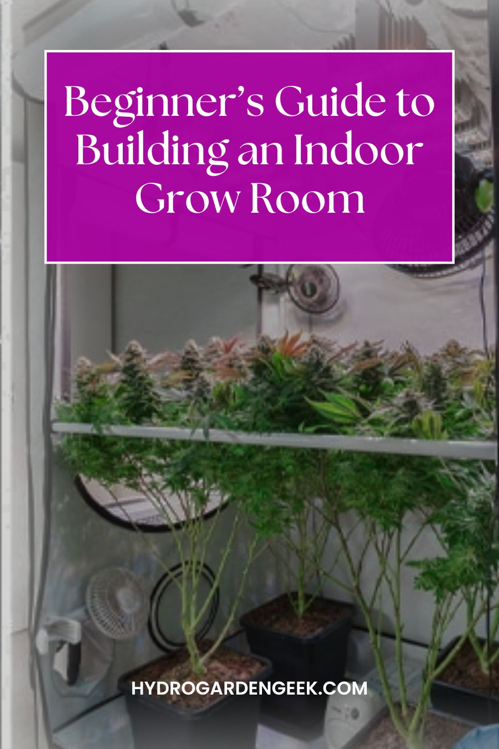 Indoor Grow Room: How to Build and Setup -All You Need to Know [date ...
