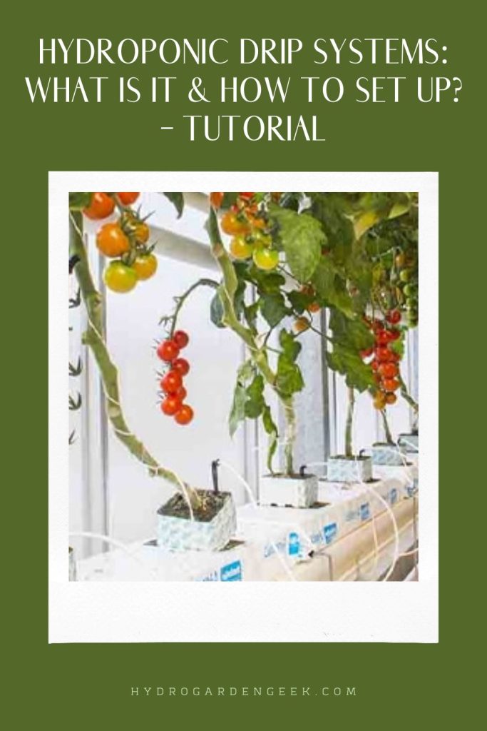 Hydroponic Drip Systems: What is It & How to Set Up? 🔥ACTUAL [date ...