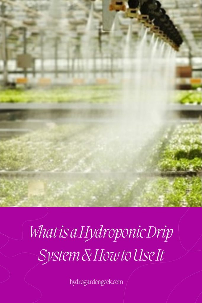 Hydroponic Drip Systems: What is It & How to Set Up? 🔥ACTUAL [date ...