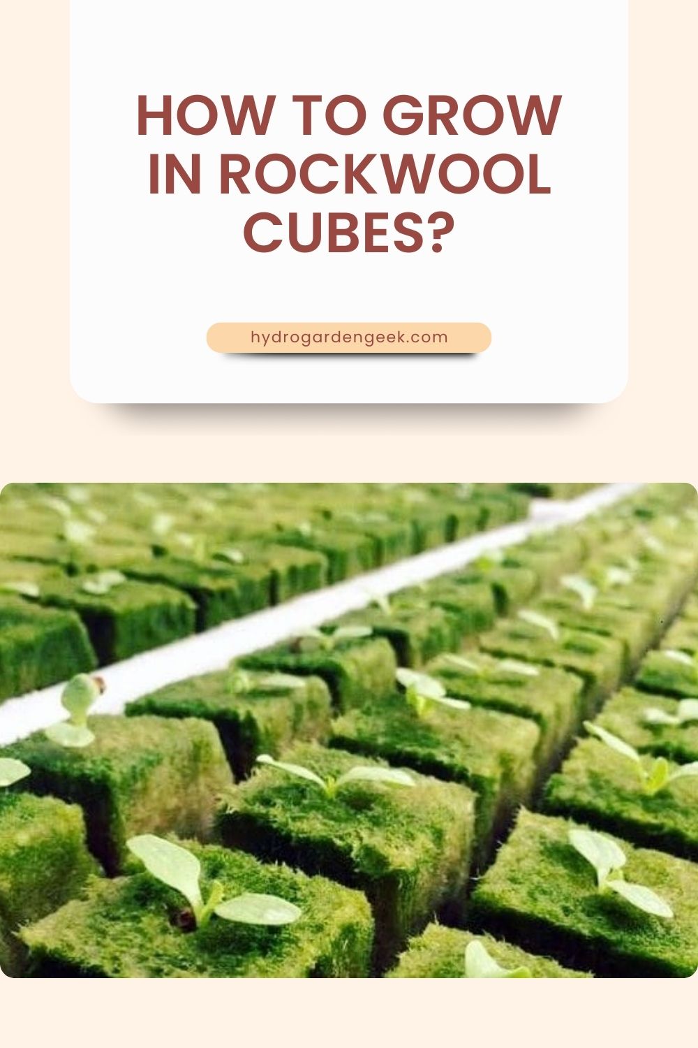 How to Grow in Rockwool Cubes: Complete Guide to Using Rockwool
