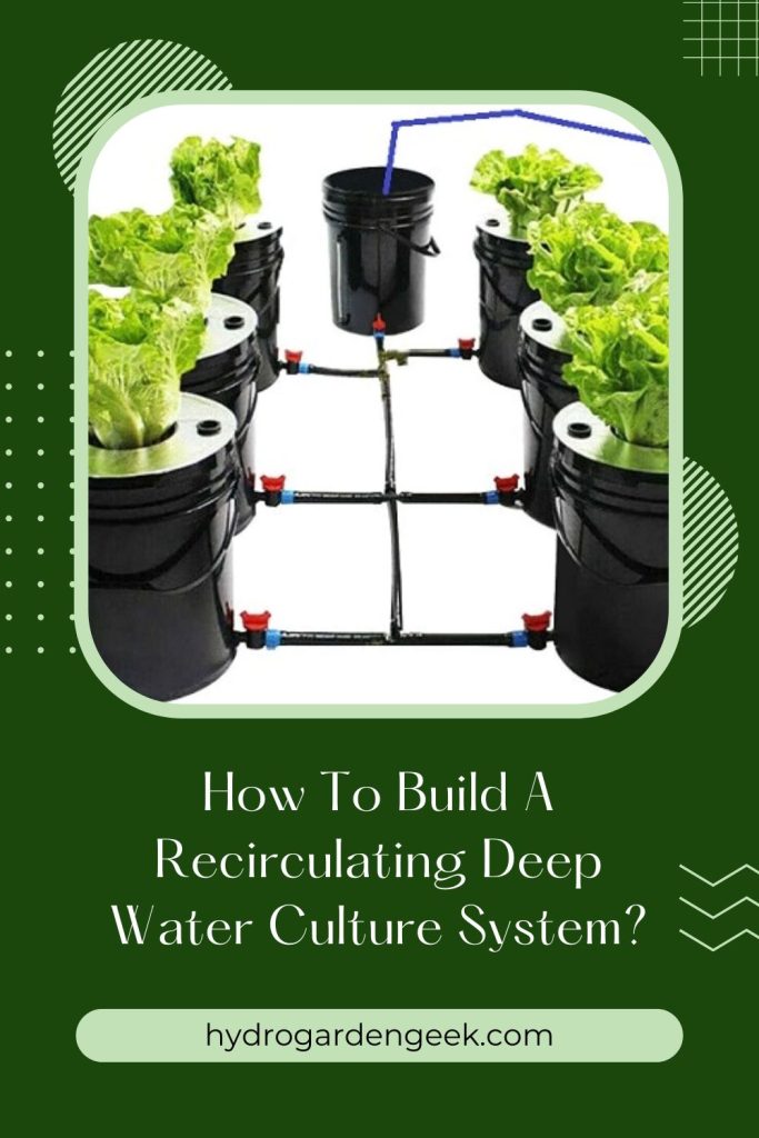 Recirculating Deep Water Culture System: How to Build RDWC