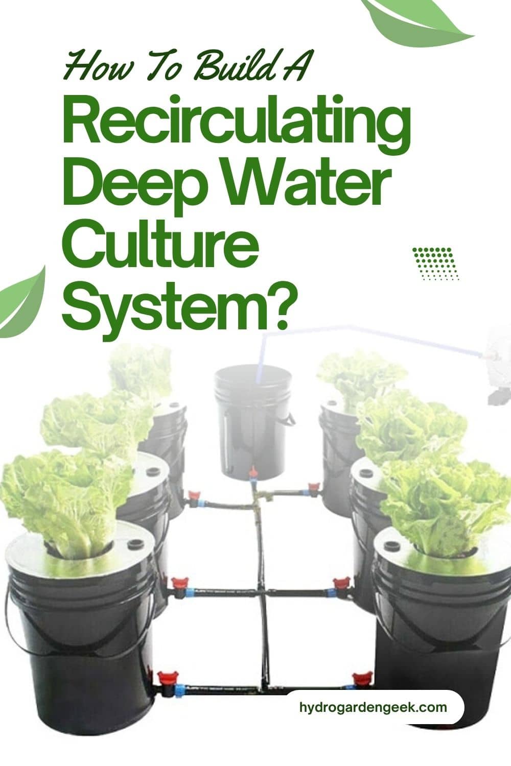 Recirculating Deep Water Culture System: How to Build RDWC