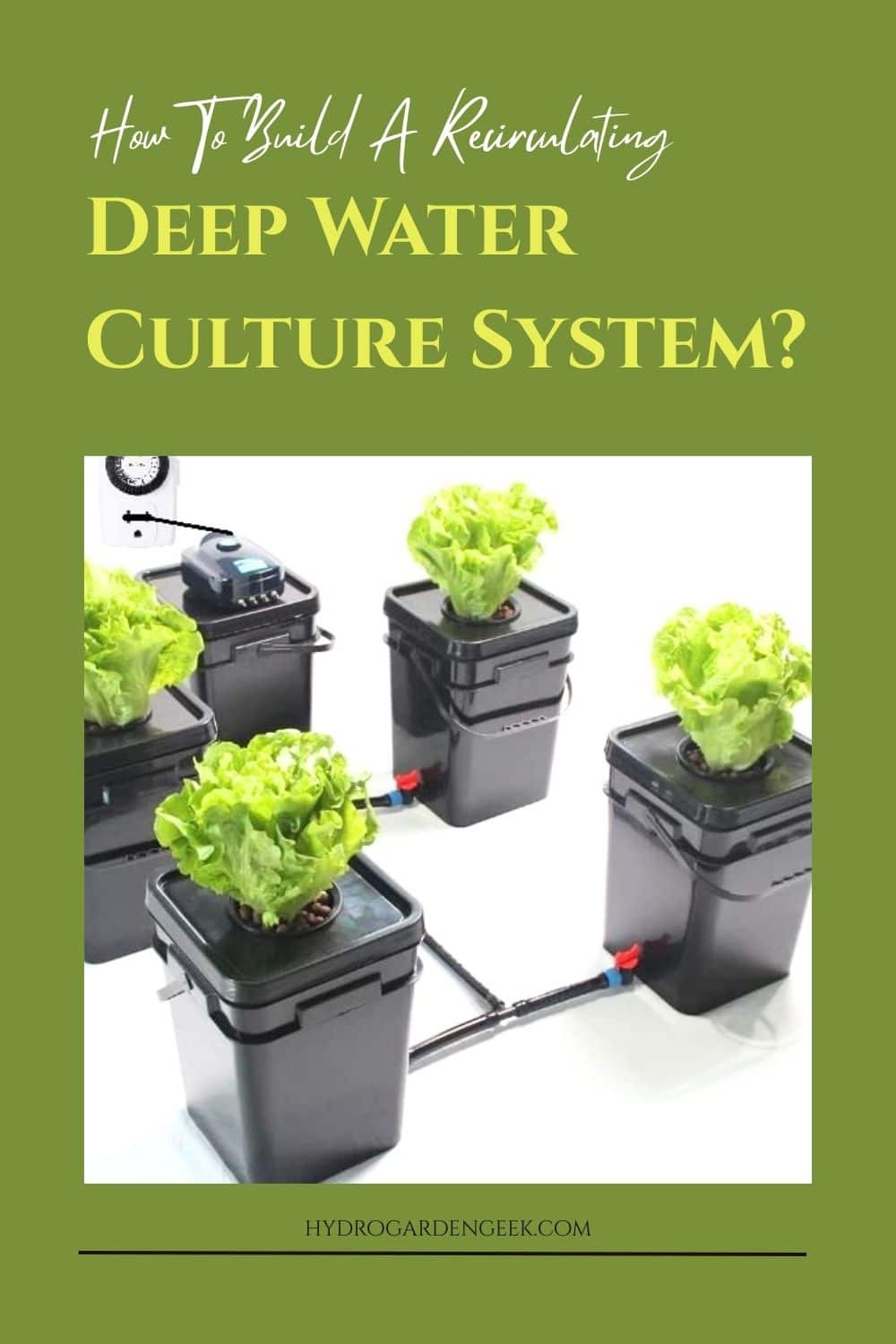 Recirculating Deep Water Culture System: How to Build RDWC
