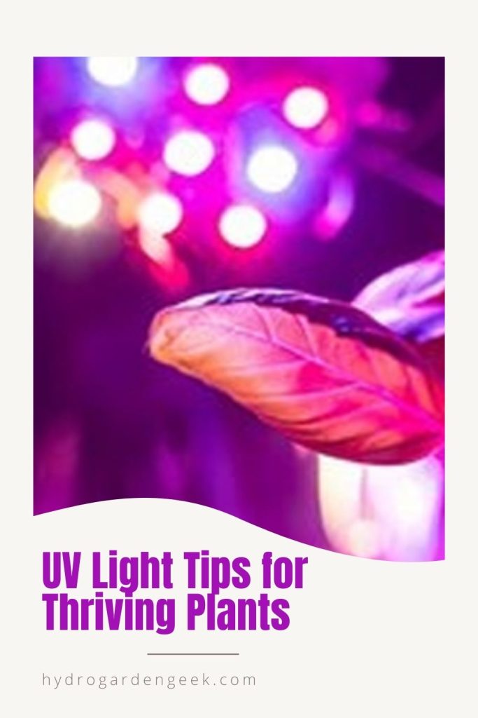 UV Light for Plants: a Comprehensive Guide for Your Garden