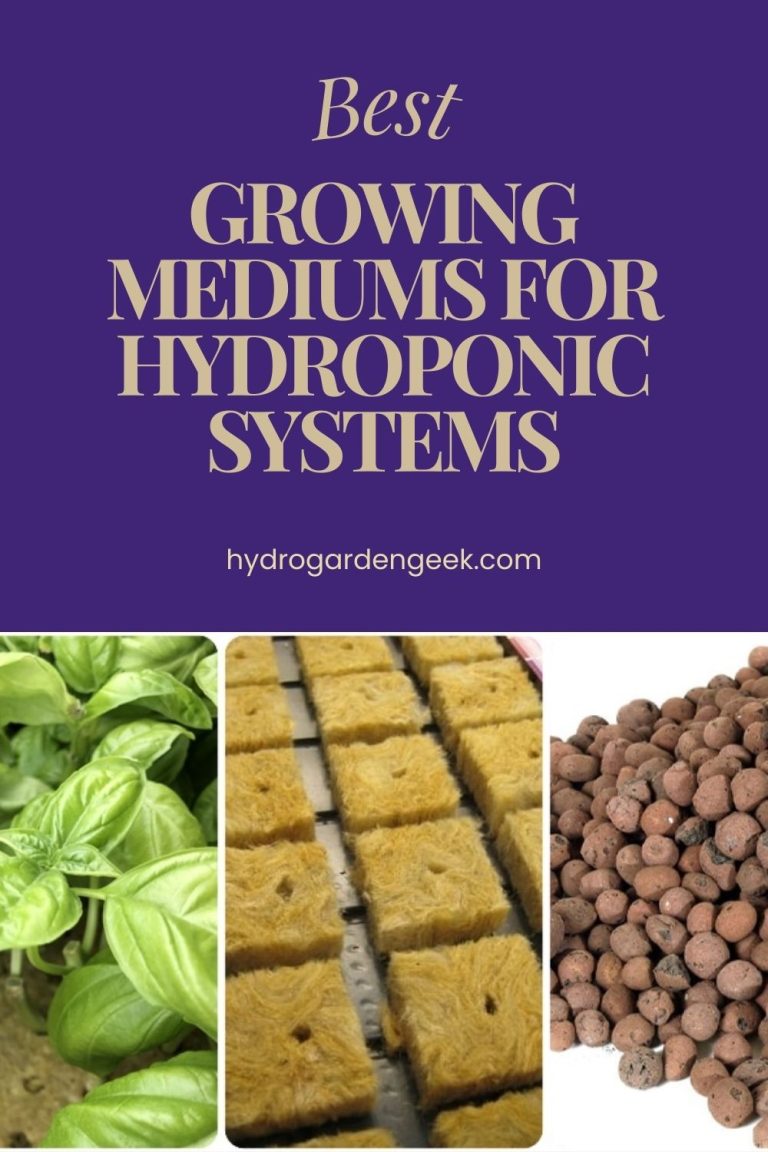 What is the Best Growing Medium for Hydroponic 🔥ACTUAL [date template="Y"]