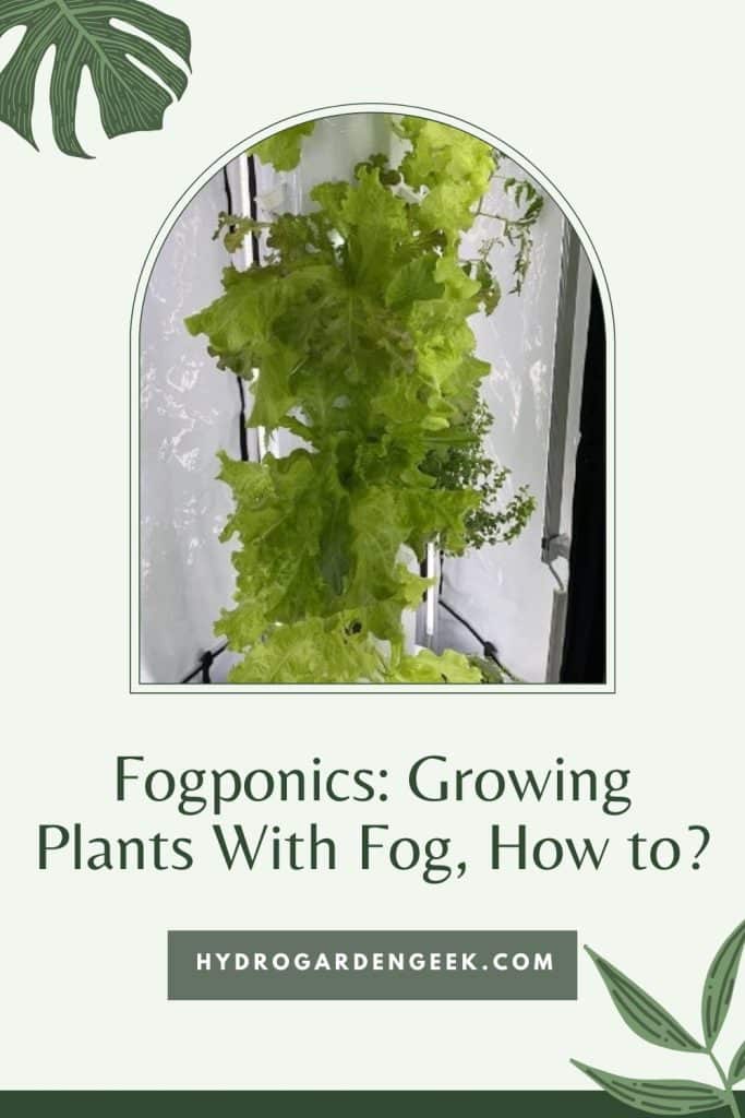 A Complete Guide to this Advanced Hydroponic System | HydroGardenGeek