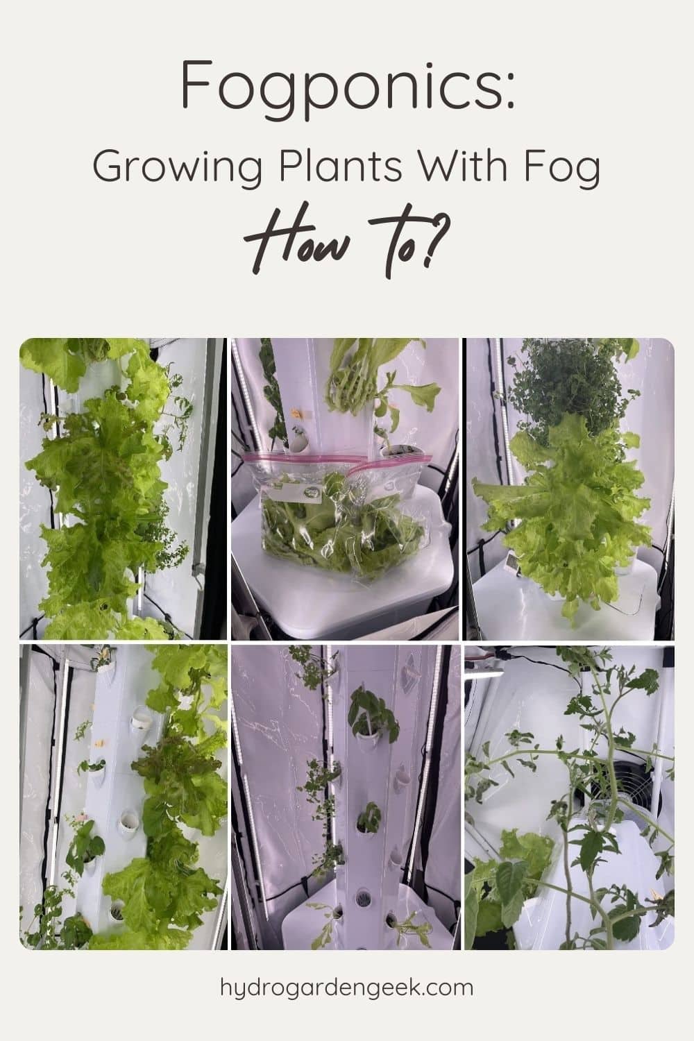 A Complete Guide to this Advanced Hydroponic System | HydroGardenGeek