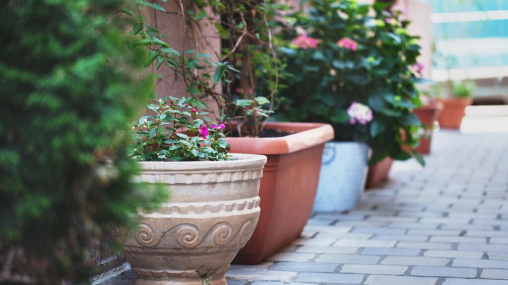 The Best Materials to Layer at the Bottom of the Planter for Drainage ...