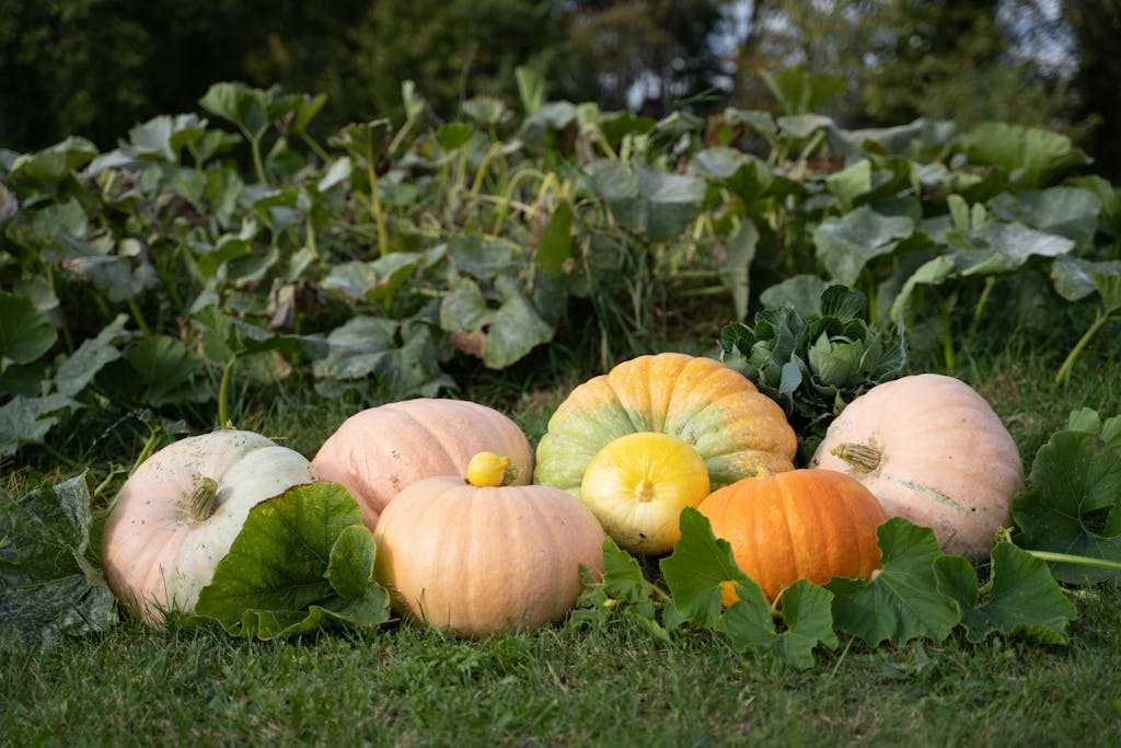 10 Fall Foods You Shouldn’t Ignore If You Want to Eat Better This ...